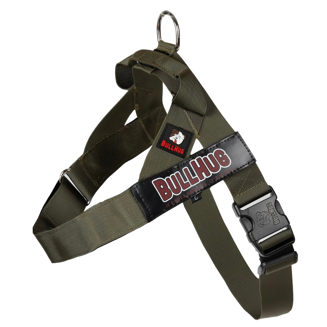 BullHug Dog Harnesses and Leashes for English Bulldogs, French Bulldog ...