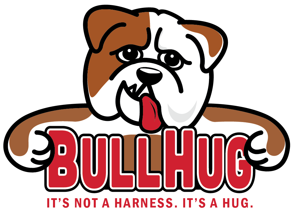 Summer Safety for Bulldogs: Tips to Keep Your Dog Cool and Comfortable ...