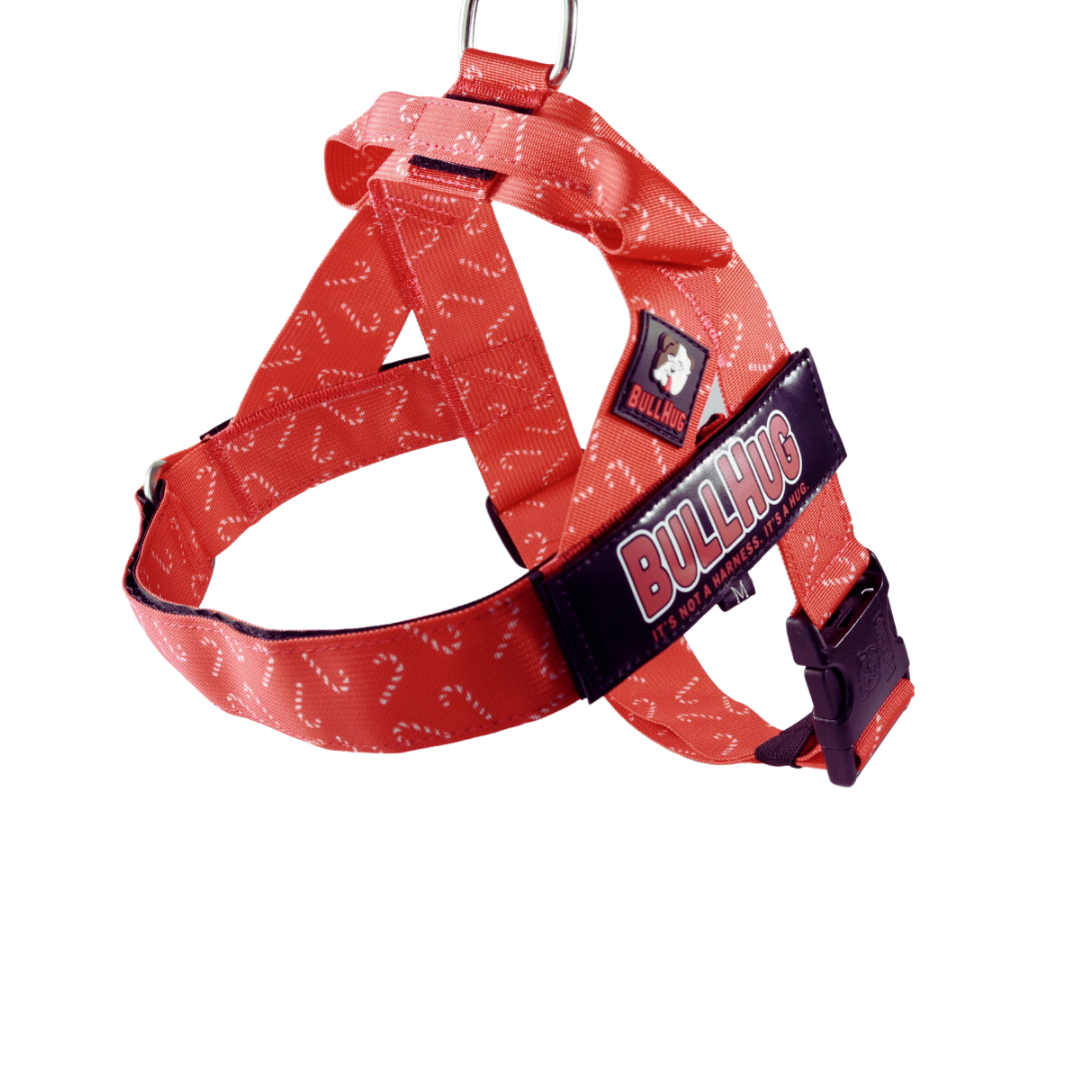 Clearance – thebullhug.com