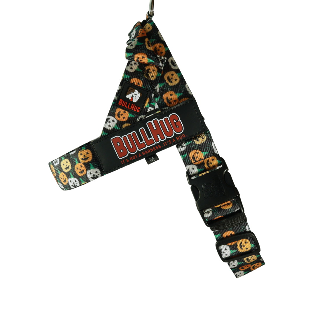 Clearance – thebullhug.com