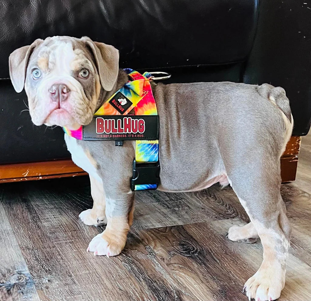 BullHug Harnesses – thebullhug.com