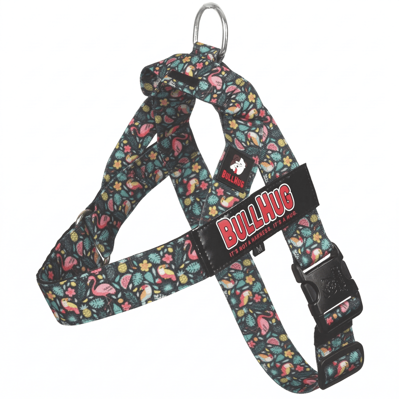 BullHug Dog Harnesses and Leashes for English Bulldogs, French Bulldog ...