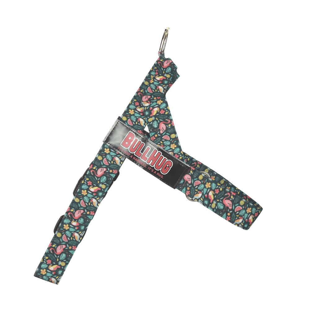 Tropical Print BullHug Harness | Adjustable No Pull Dog Harness ...