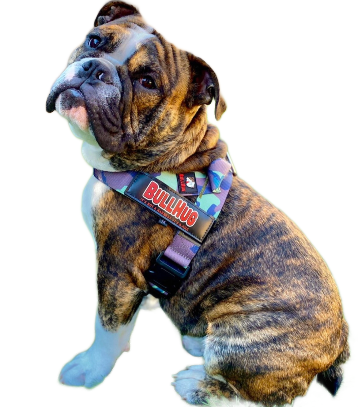 "ARMY CAMOUFLAGE" BULLHUG HARNESS – thebullhug.com