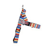 Fiesta Adjustable No-Choke Dog Harness – No Pull | BullHug – thebullhug.com